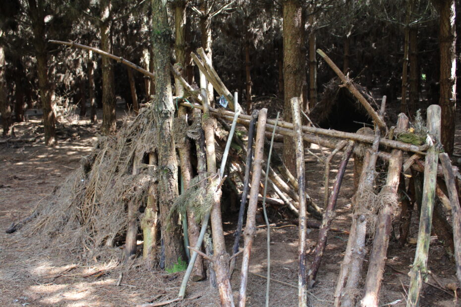Den Building & Natural Play - Rosliston Forestry Centre